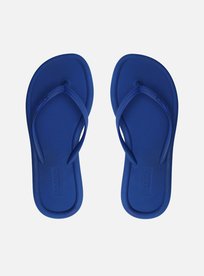 Chinelo de Dedo Azul Básico Bold Brizza | Arezzo
