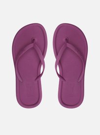 Chinelo de Dedo Roxo Básico Bold Brizza | Arezzo